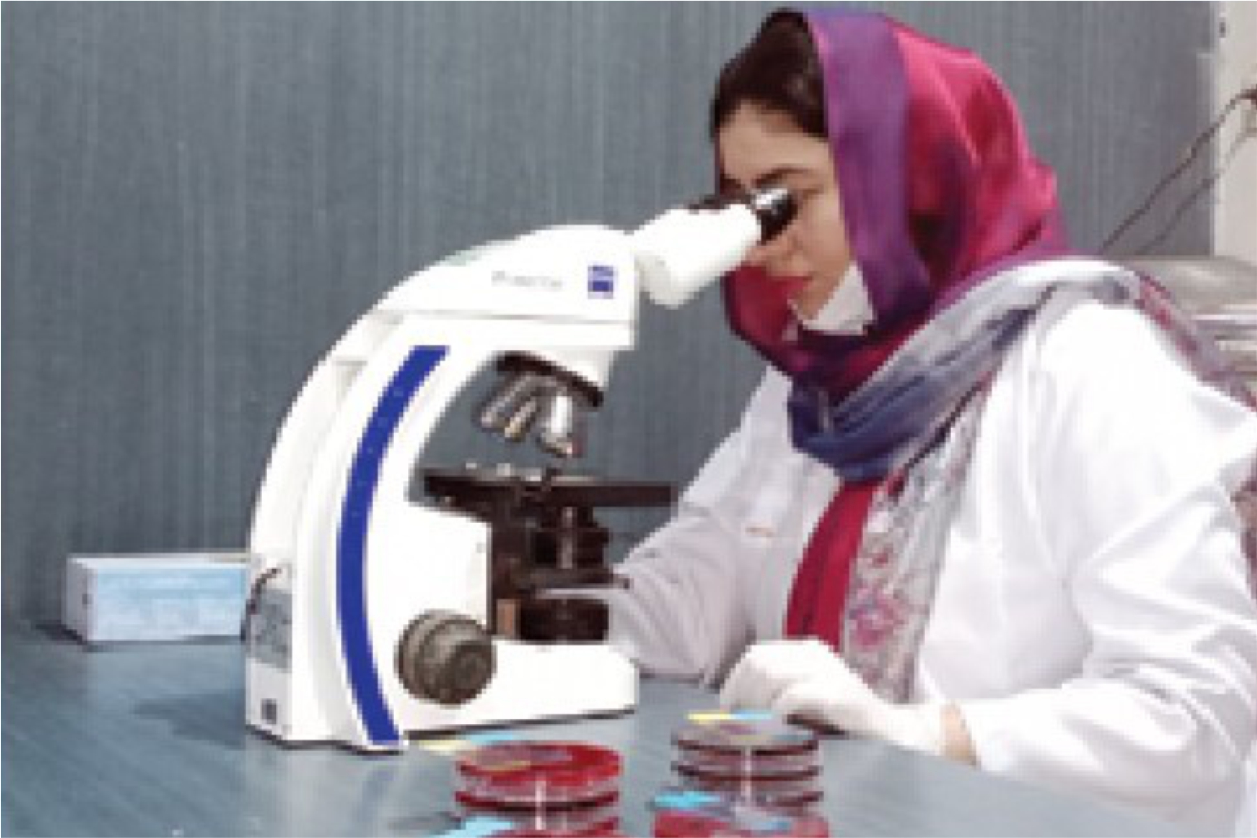 Ocular Microbiology Labortory - COAVS